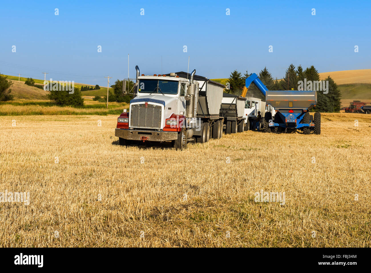 Grain cart loading a grain truck during harvest in the Palouse region ...