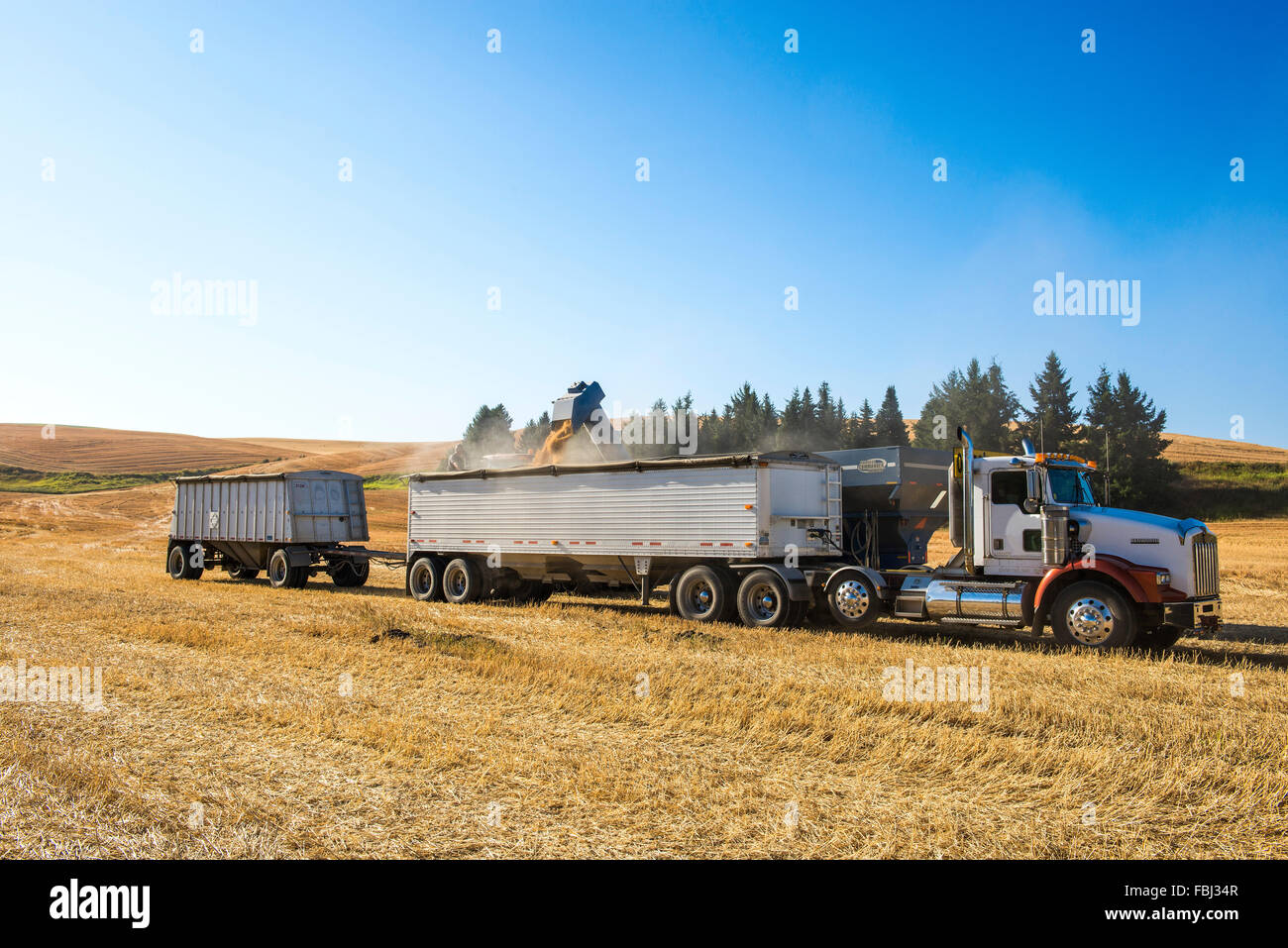 Grain cart loading a grain truck during harvest in the Palouse region ...