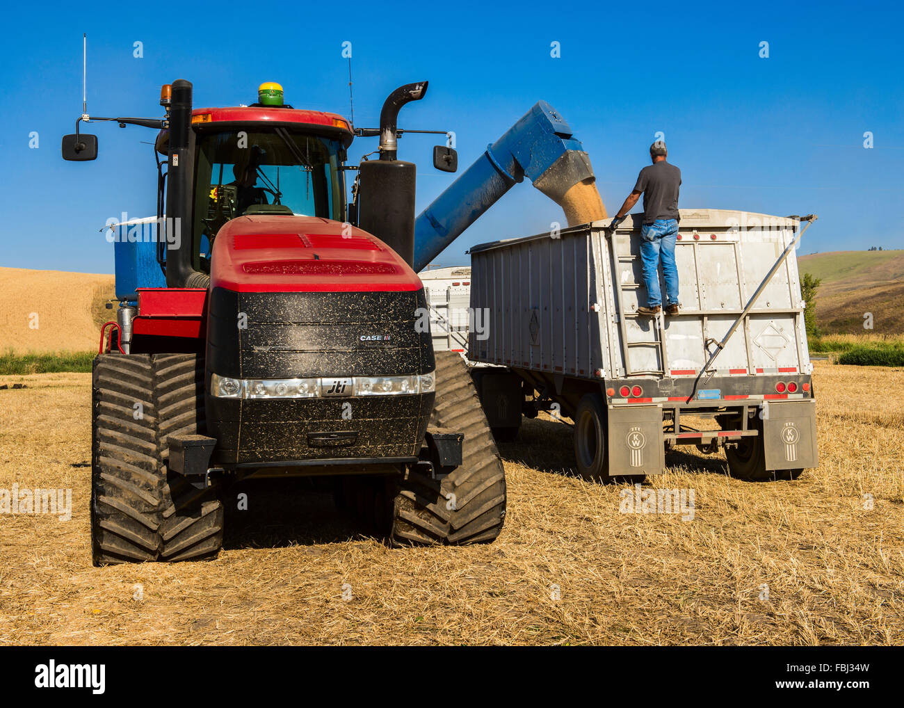 Grain cart loading a grain truck during harvest in the Palouse region ...