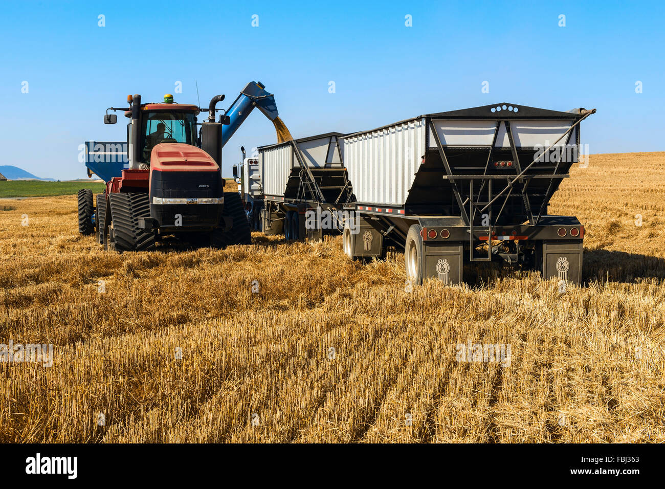 A tractor pulled grain cart offloads wheat to a grain truck during ...
