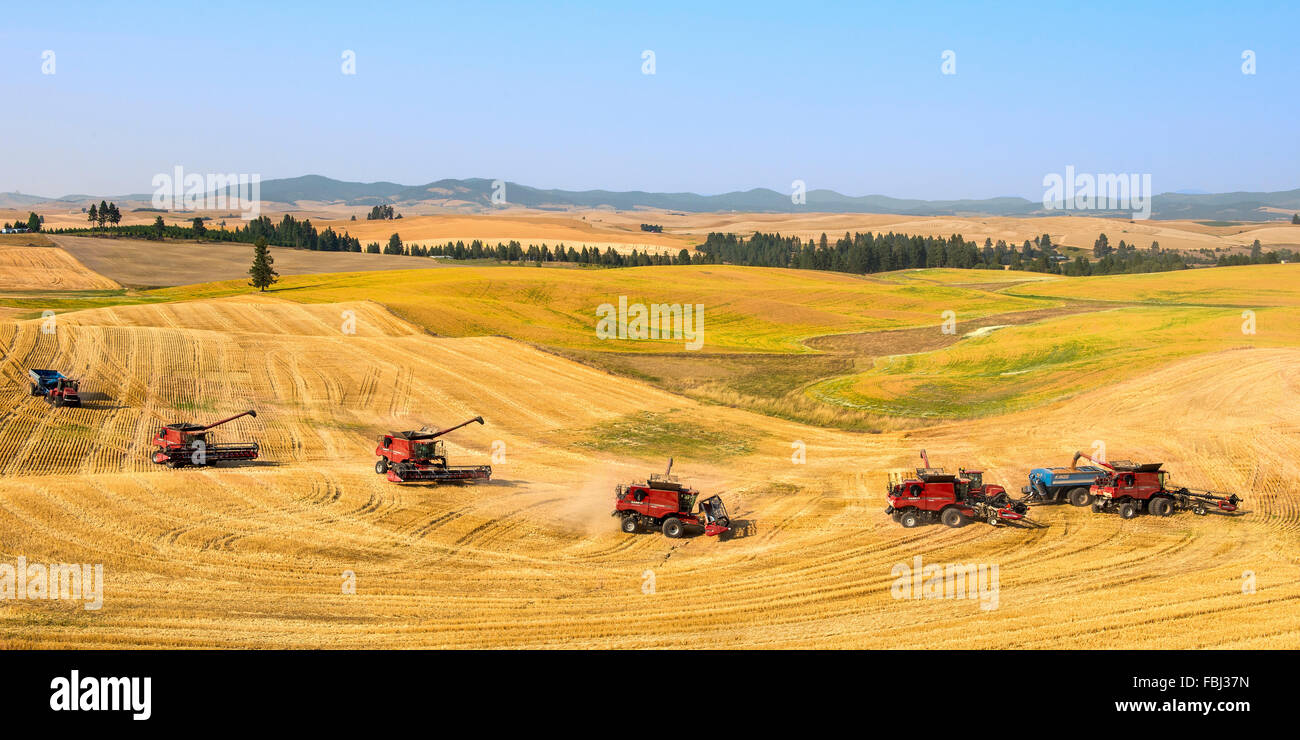 Combines harvesting wheat in the Palouse region of Washington Stock ...
