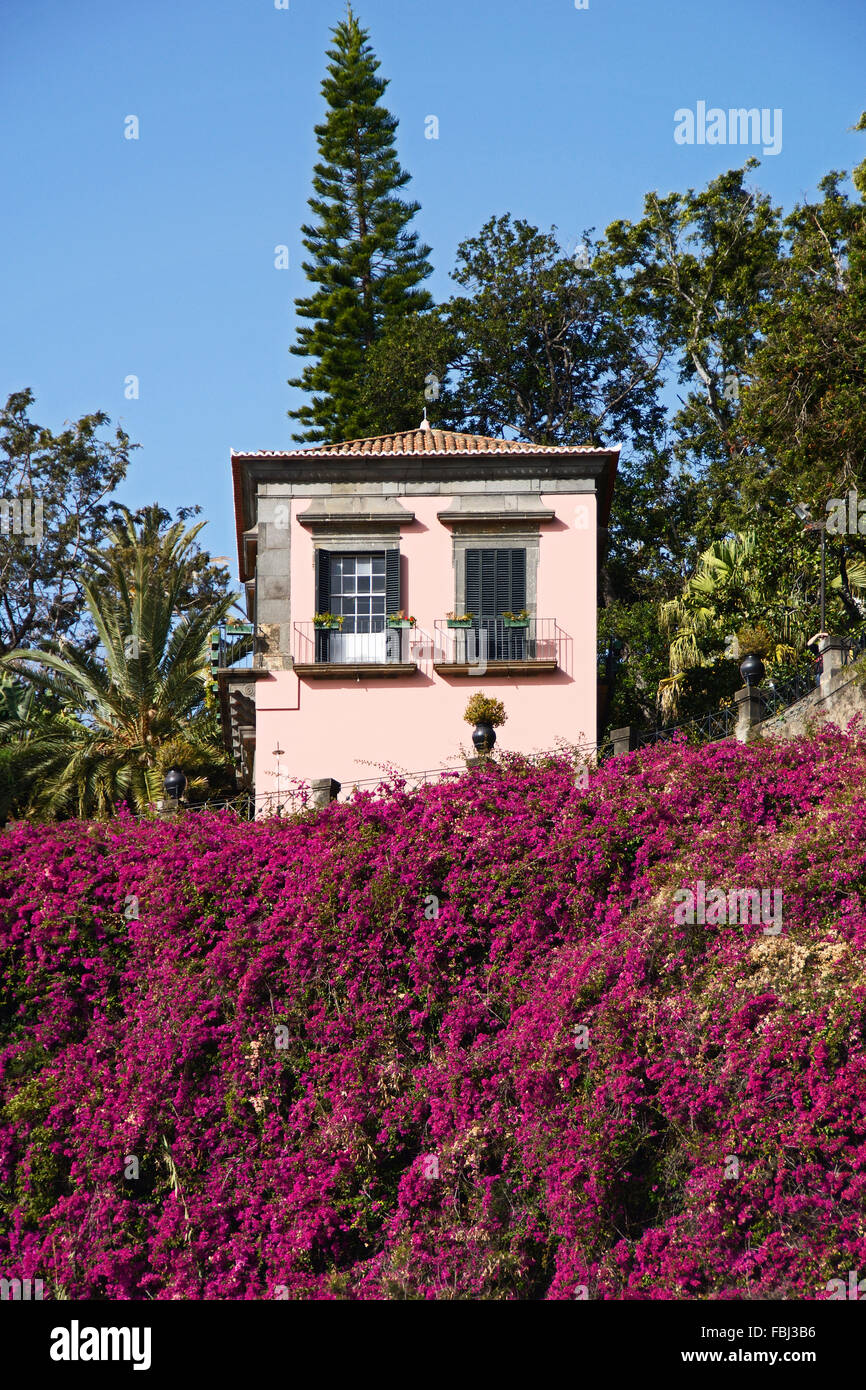 Madeira, Quinta Vigia in Funchal Stock Photo - Alamy