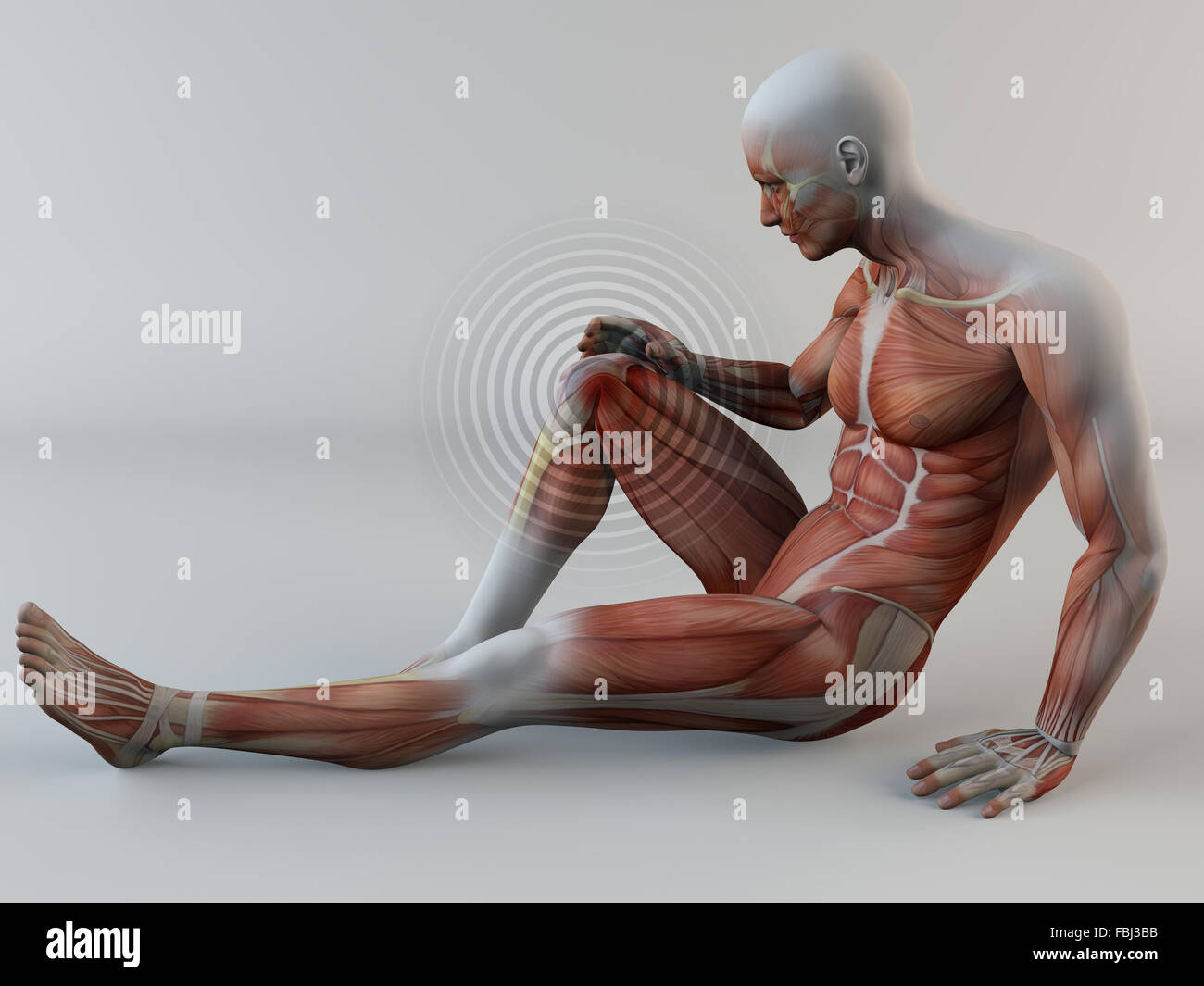 3d, Human body, knee pain, muscles, muscle tear Stock Photo - Alamy