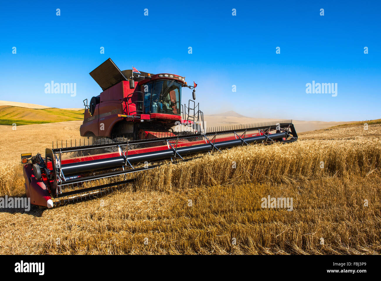Case combine harvesting wheat in the Palouse region of Washington Stock ...