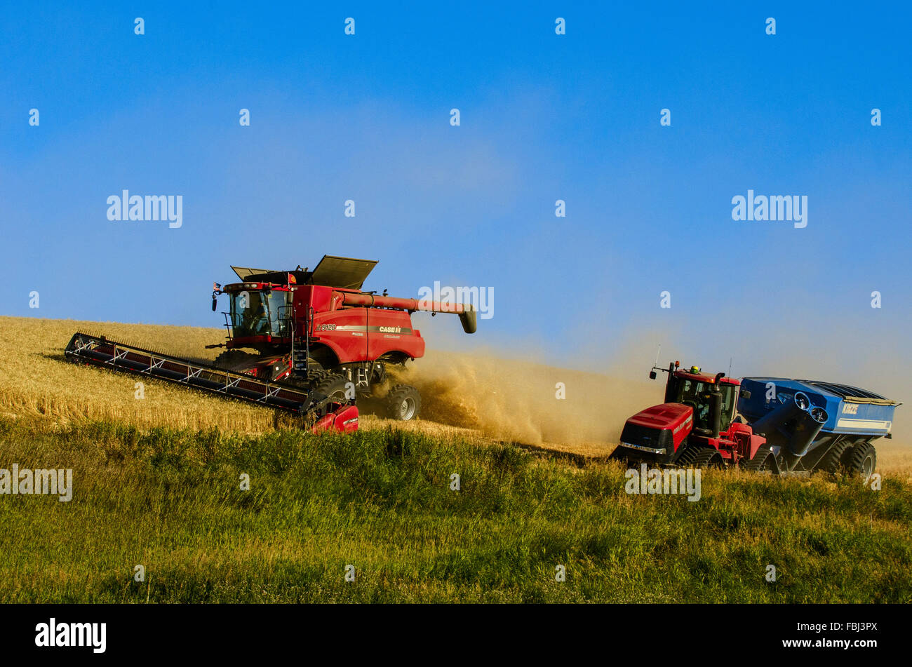 Case combine harvesting wheat while being trailed by a Case track ...