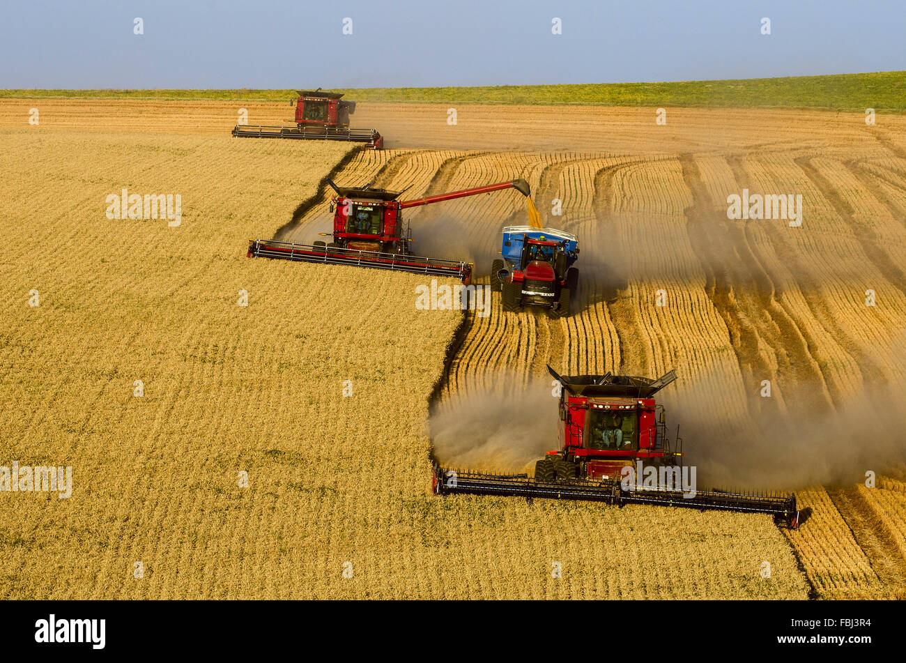 Grain Offloading High Resolution Stock Photography and Images - Alamy