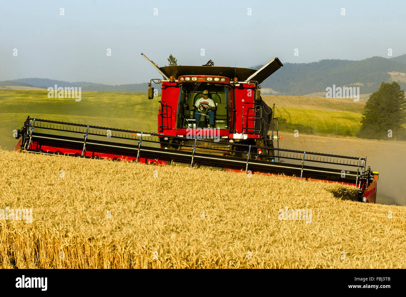 A Case combine harvests grain in the Palouse region of Easter ...