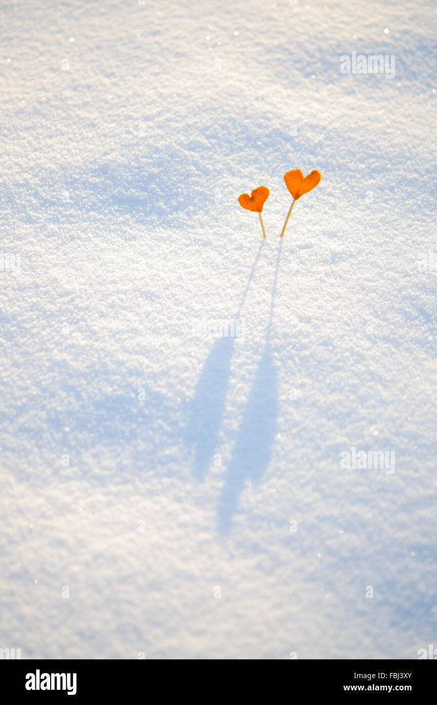 Two vintage orange tangerine hearts on white snow background for love ...