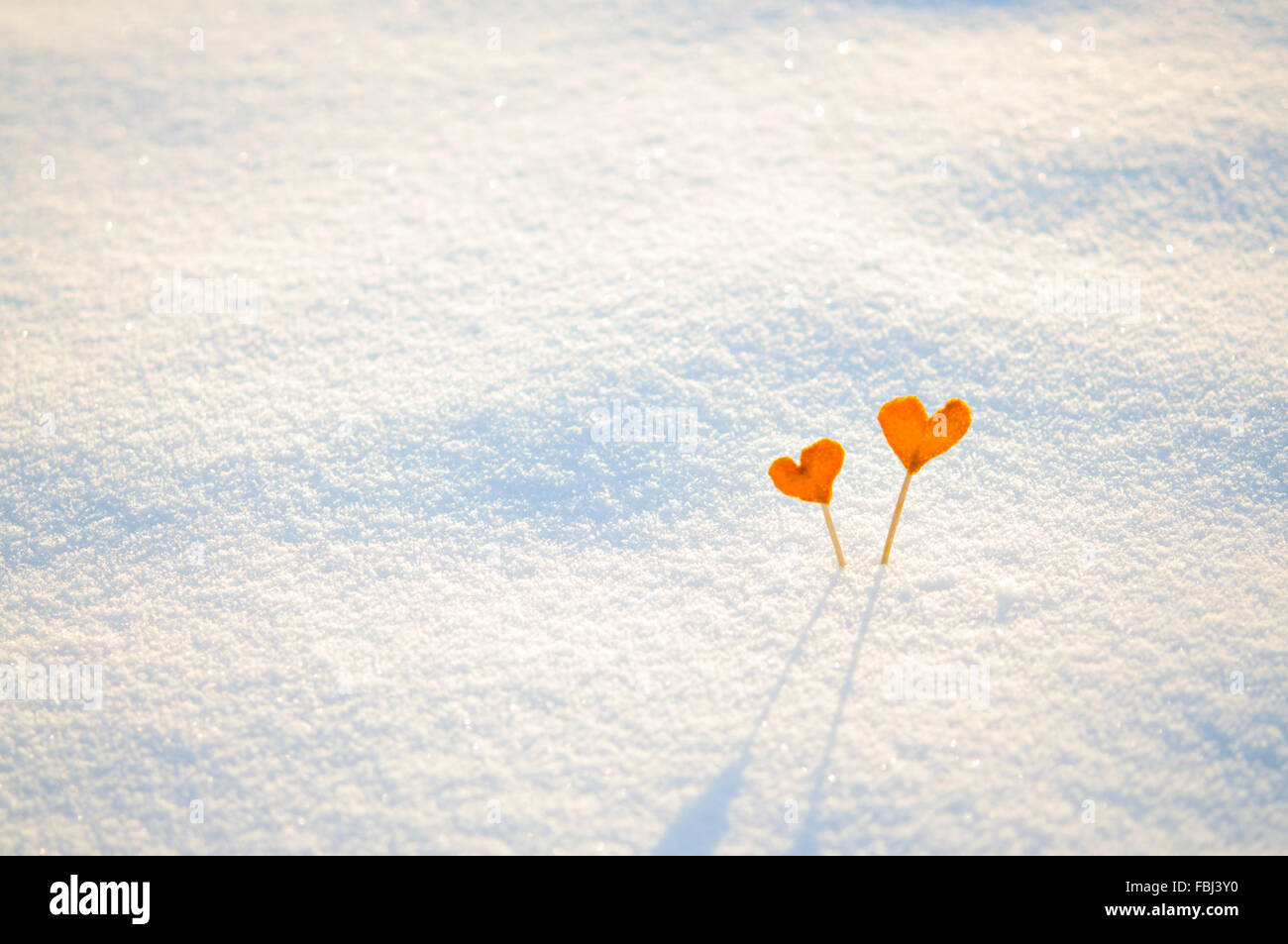 Two vintage orange tangerine hearts on white snow background for love ...