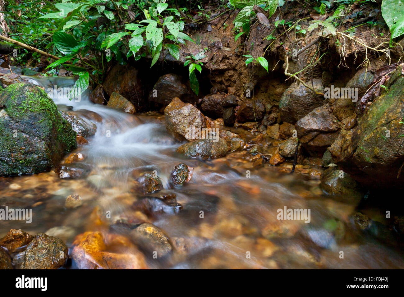 Natural streams in the middle of Sumatra rainforest Stock Photo - Alamy