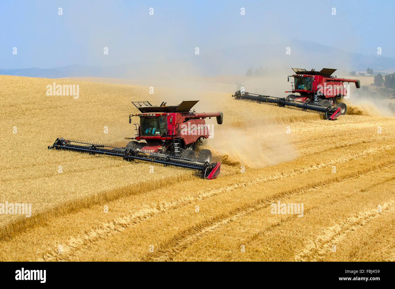 Case combines harvesting wheat in the Palouse region of Washington ...