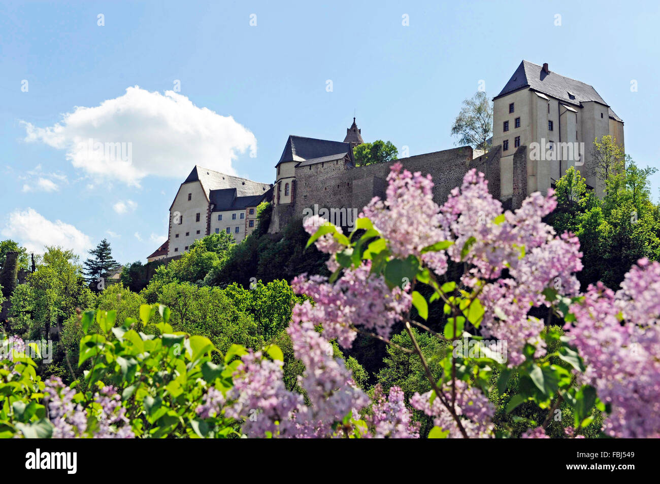 Mildenstein Castle, porphyr rock, Freiberger Mulde, Leisnig, originally ...