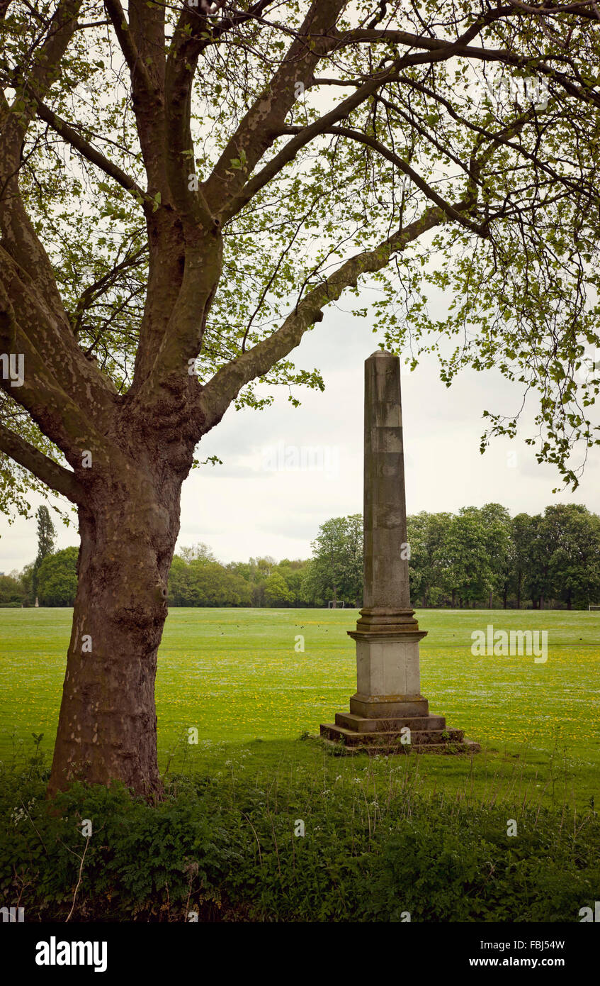 Lawn, Richmond, park, tree Stock Photo - Alamy