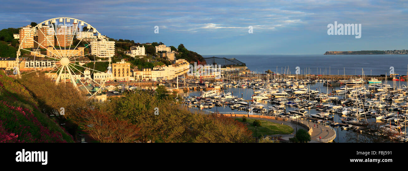 Sunset over Torquay town harbour, Torbay, English Riviera, Devon County ...