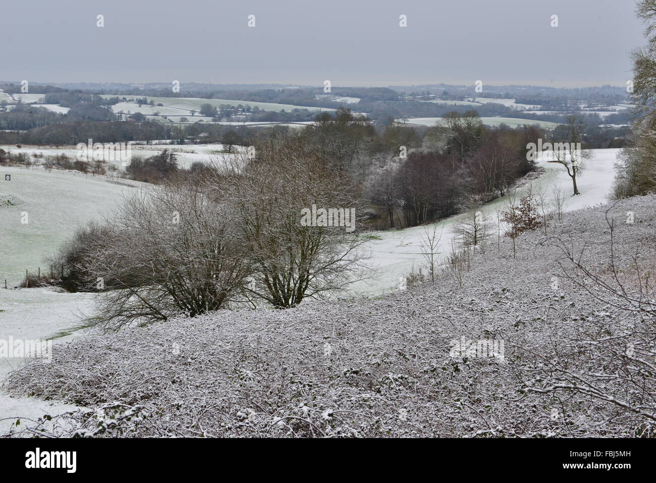 Surrey downs in winter Stock Photo - Alamy