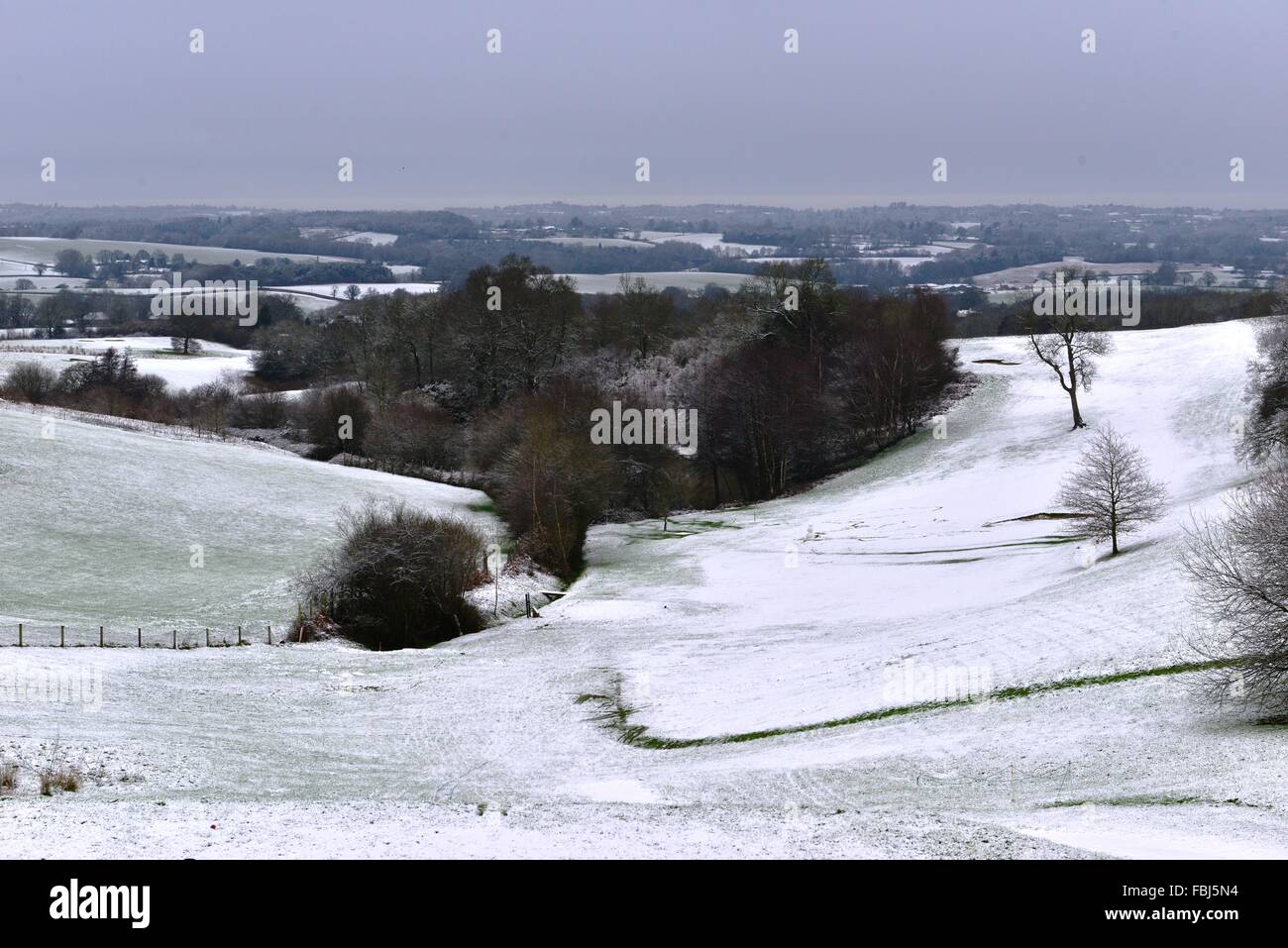Surrey downs in winter Stock Photo - Alamy