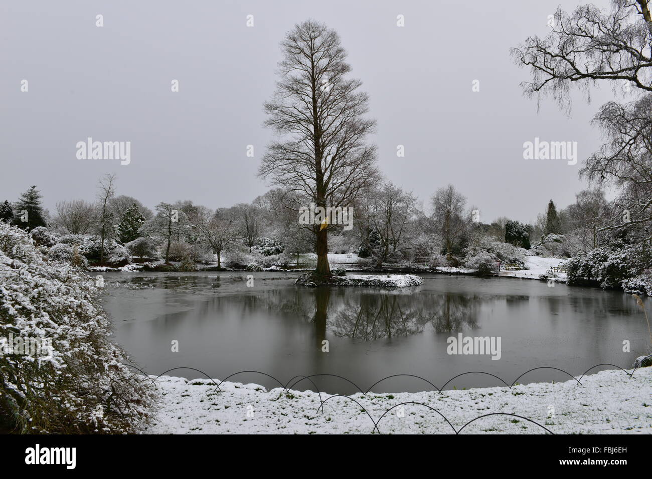 A semi frozen lake at a country estate in England Stock Photo - Alamy