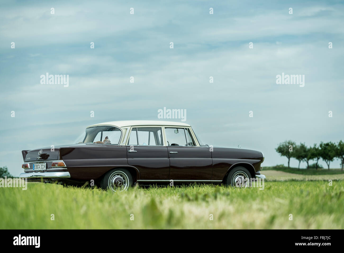 Mercedes benz w110 hi-res stock photography and images - Alamy