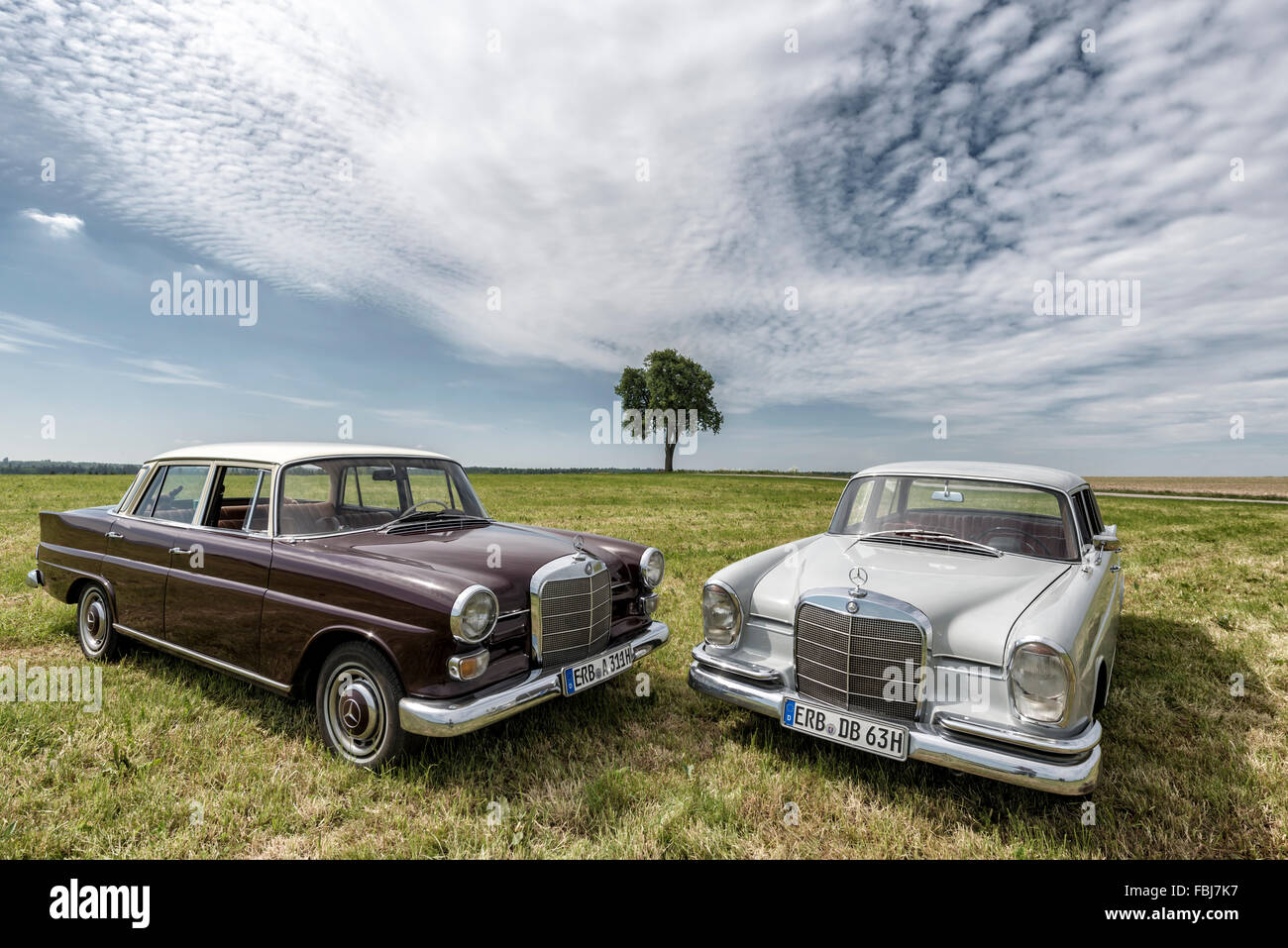 Mercedes 220 sb hi-res stock photography and images - Alamy
