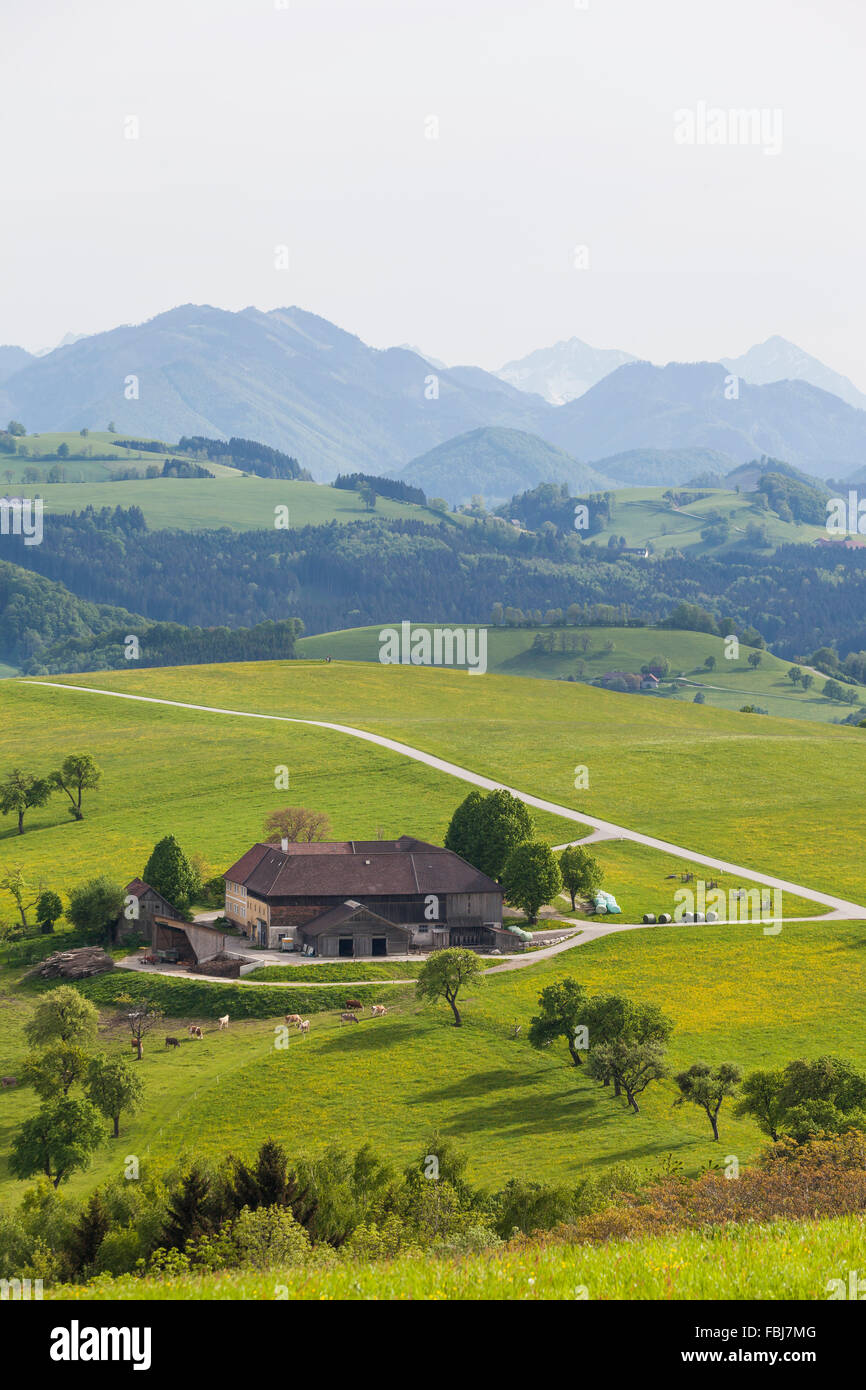 Rolling landscape with farm in the Mostviertel, near Waidhofen at the ...
