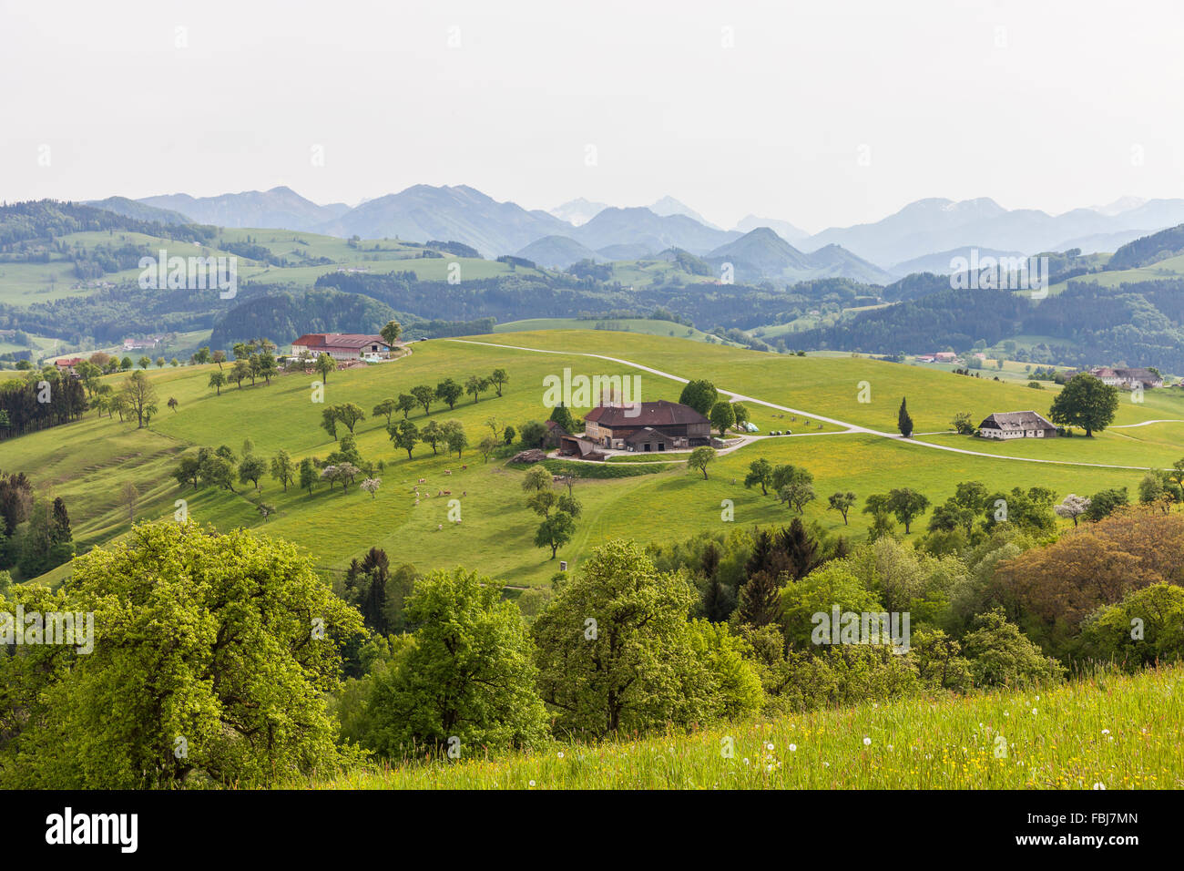 Rolling landscape with farms in the Mostviertel, near Waidhofen at the ...