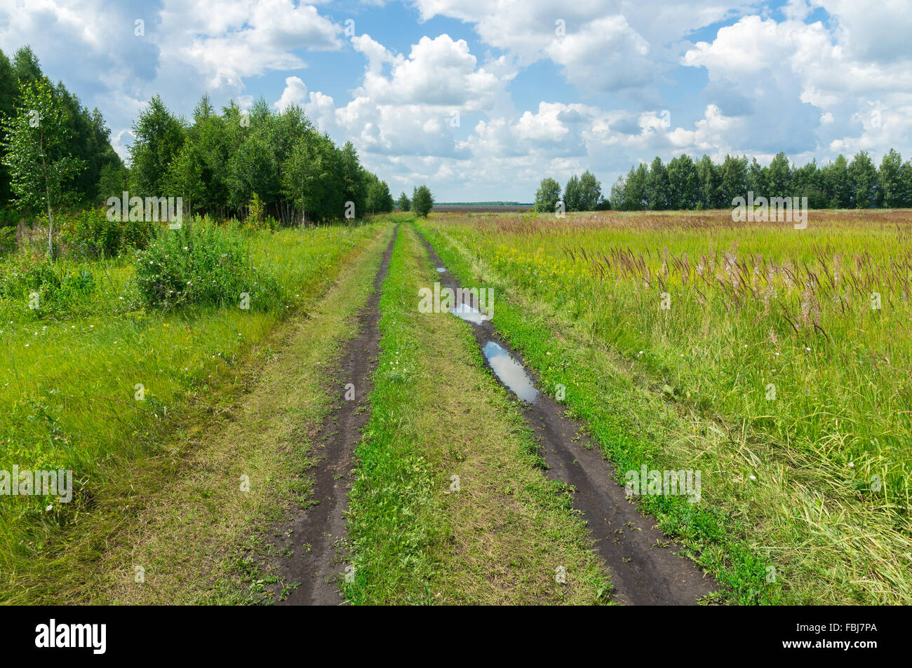 The photo shows a road in a field Stock Photo - Alamy