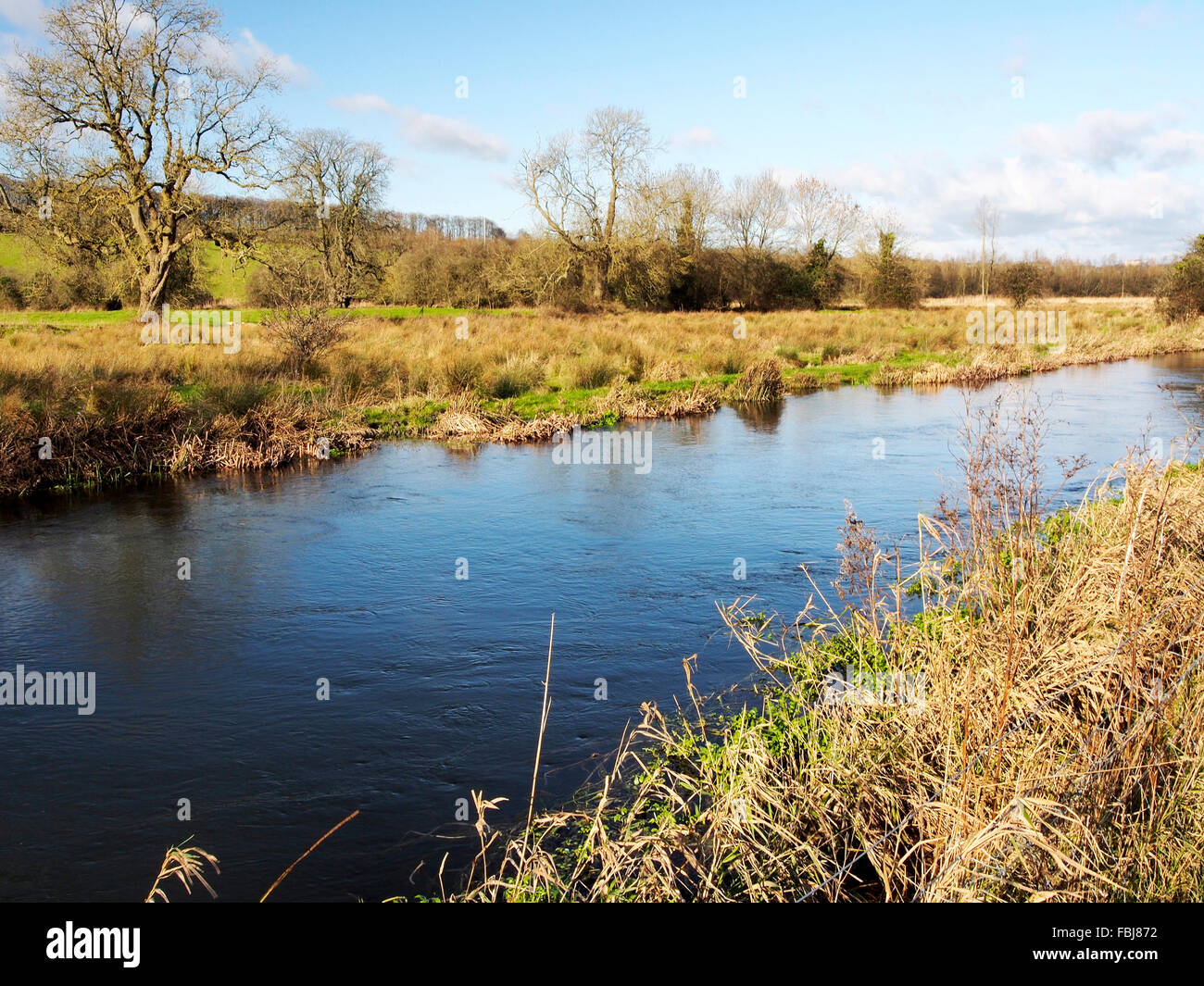 River Itchen Flood High Resolution Stock Photography and Images - Alamy