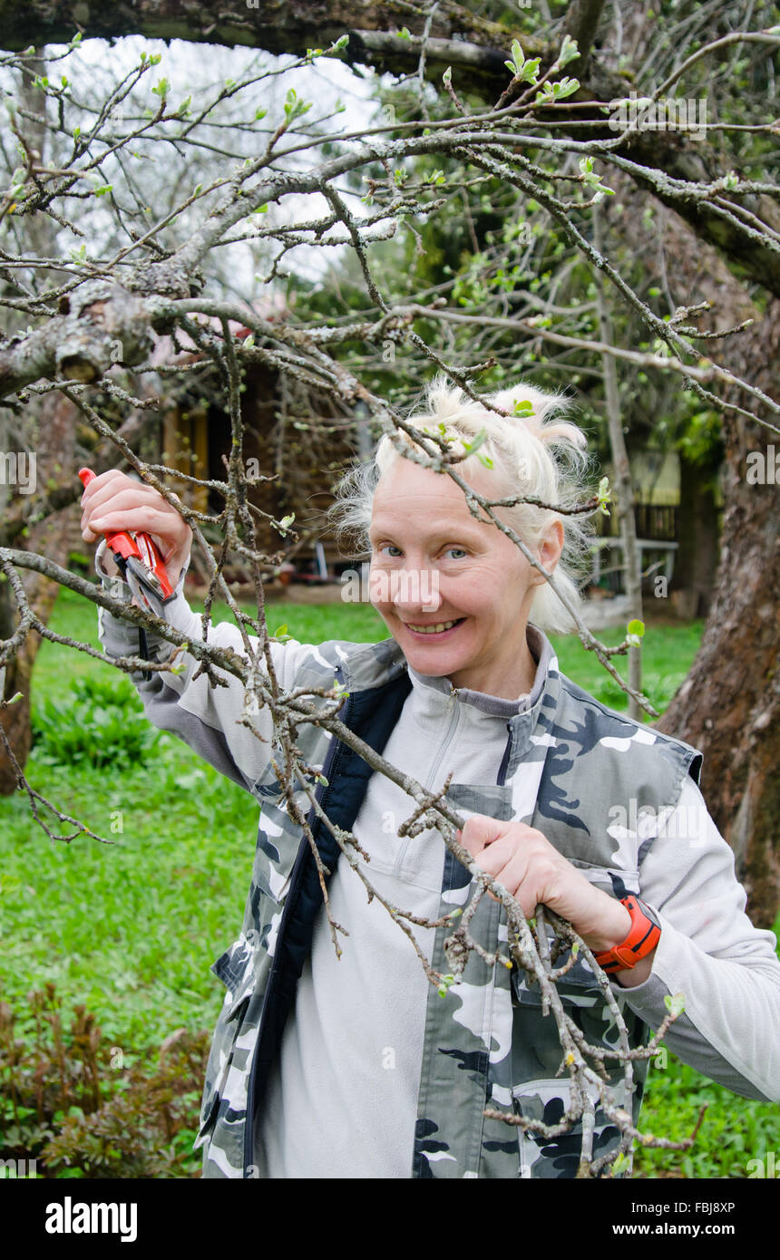 Woman pruning tree garden hi-res stock photography and images - Alamy