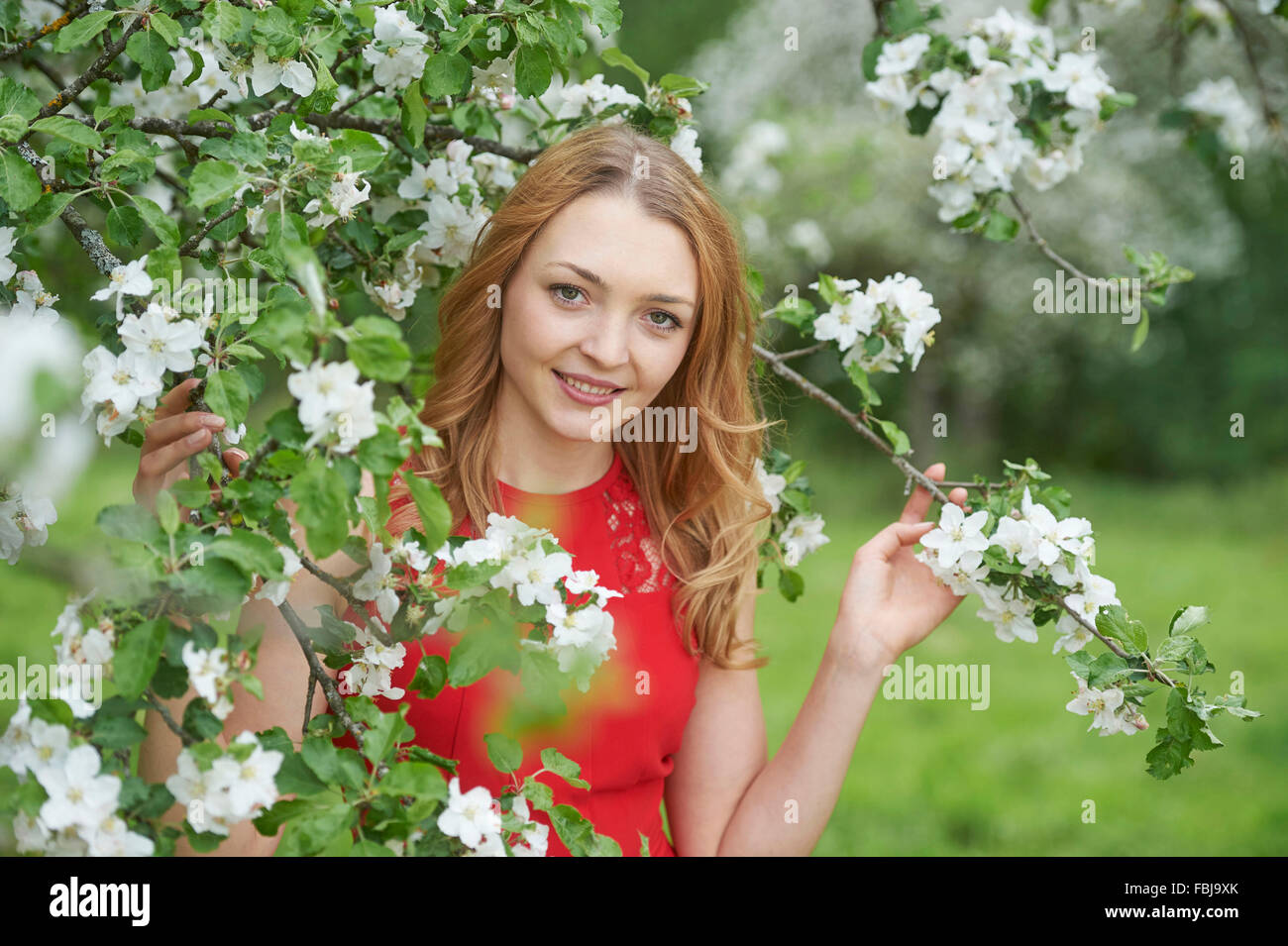 Young woman, portrait, blossoms, spring, head-on, looking at camera ...