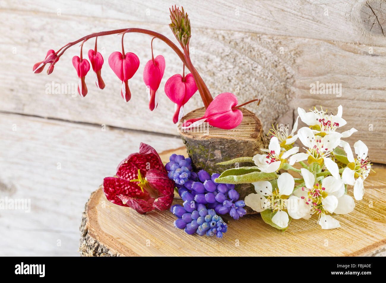 Still life with different fresh flowers, bleeding heart, chess flower ...