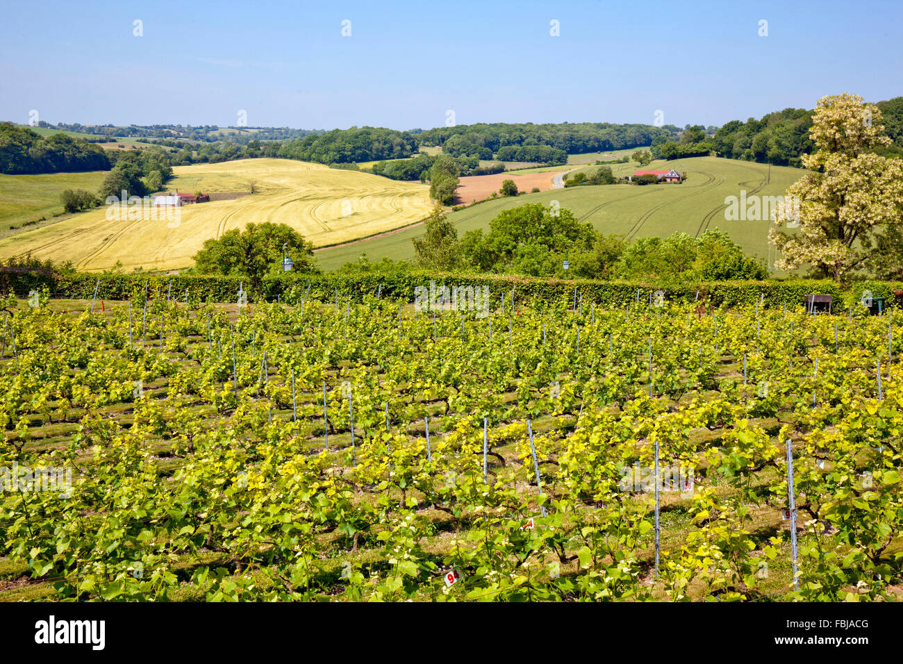Department of oise hi-res stock photography and images - Alamy
