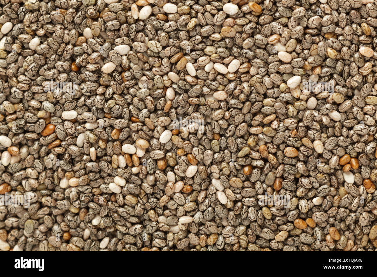 Nutrient rich seeds hi-res stock photography and images - Alamy