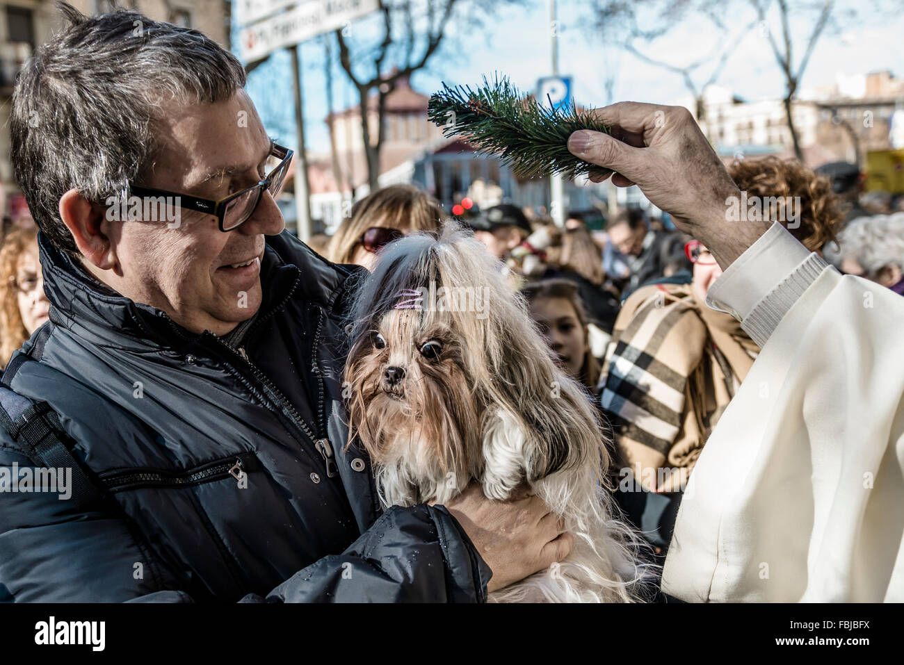 A dog takes part in the annual Blessing of the Animals event at Escola ...