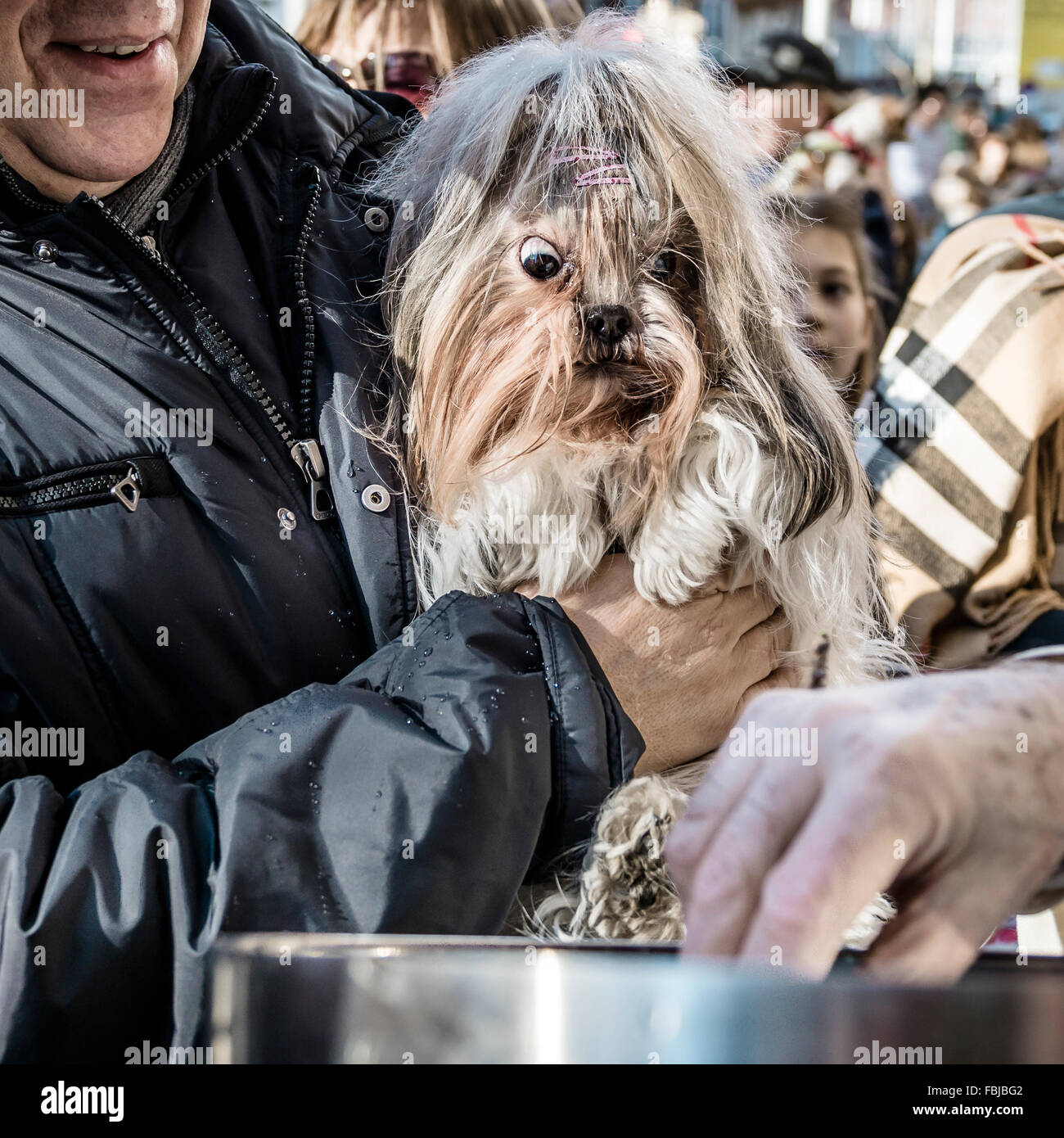 Blessing animals pets church hi-res stock photography and images - Alamy