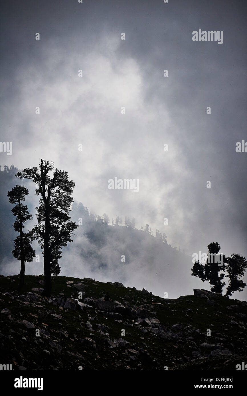 Indian snow hi-res stock photography and images - Alamy