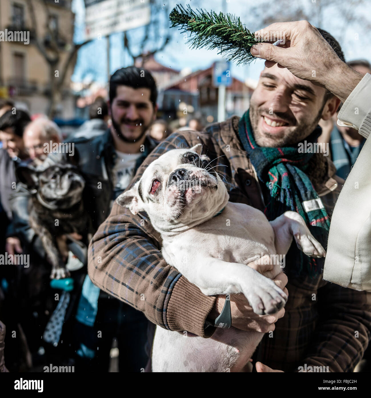 A dog takes part in the annual Blessing of the Animals event at Escola ...