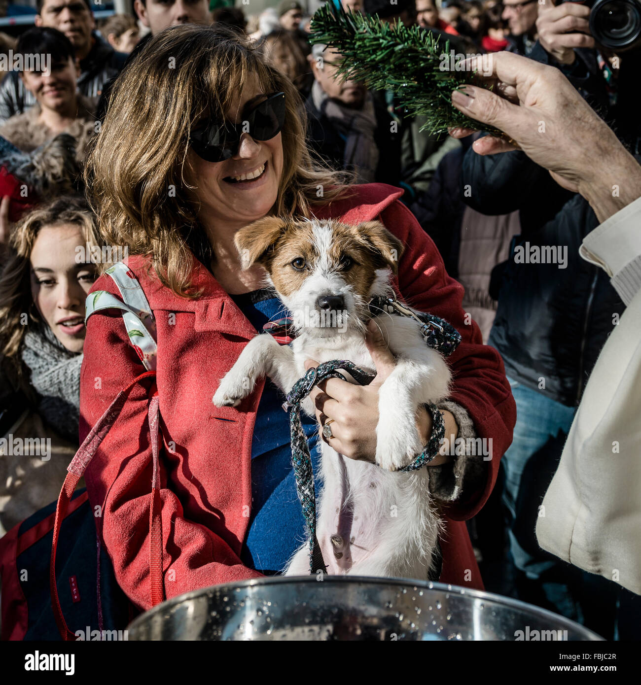 A dog takes part in the annual Blessing of the Animals event at Escola ...