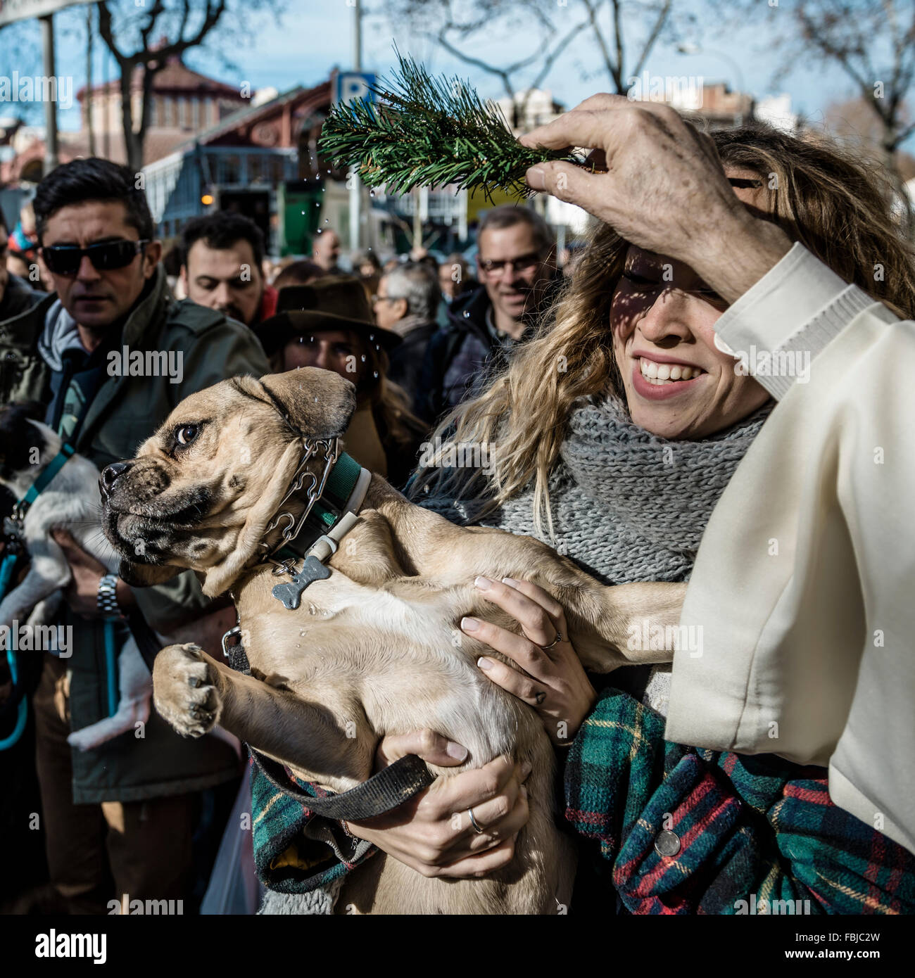 A dog takes part in the annual Blessing of the Animals event at Escola ...