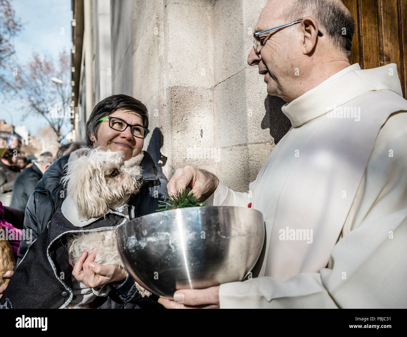 A dog takes part in the annual Blessing of the Animals event at Escola ...