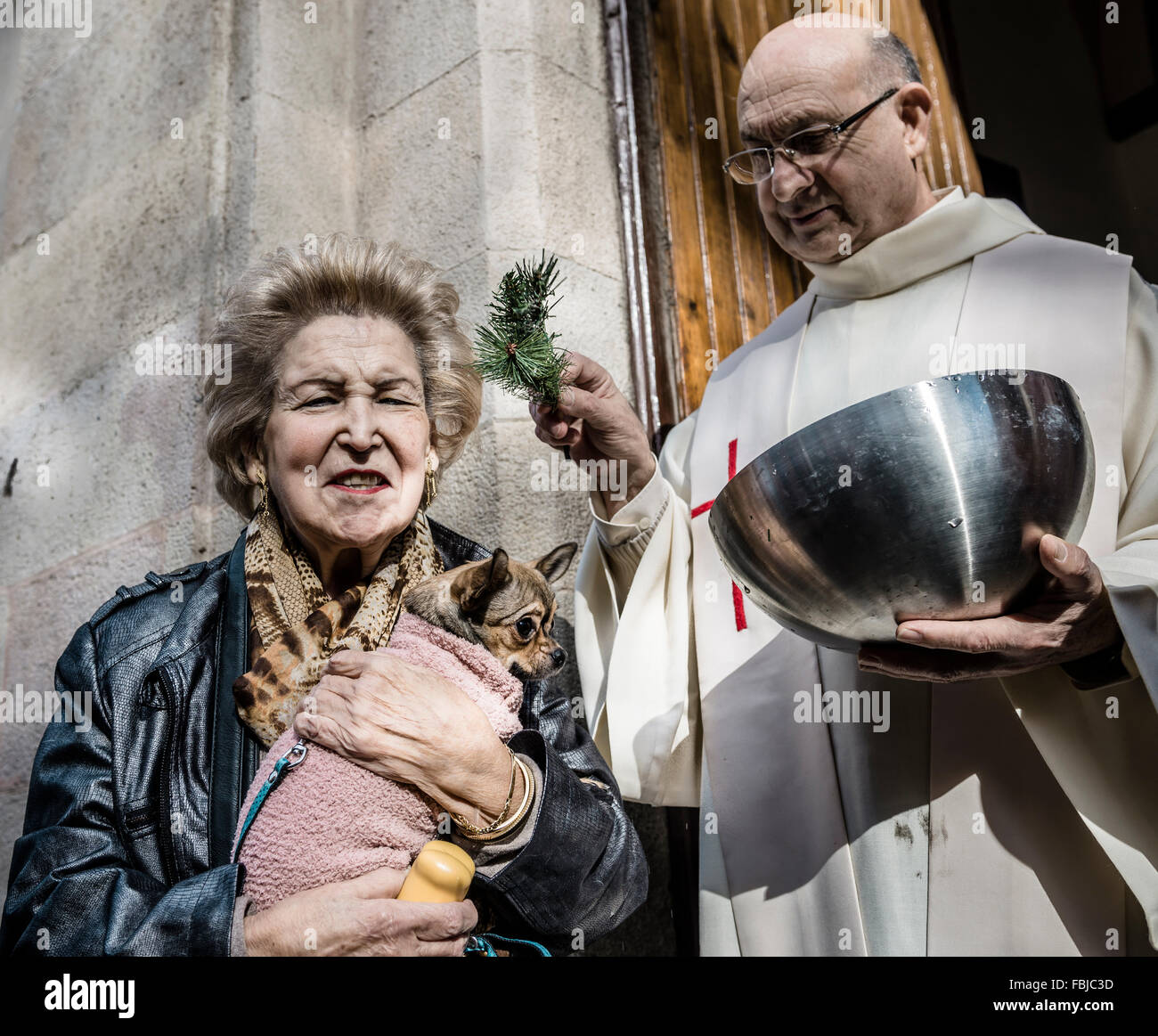 A dog takes part in the annual Blessing of the Animals event at Escola ...