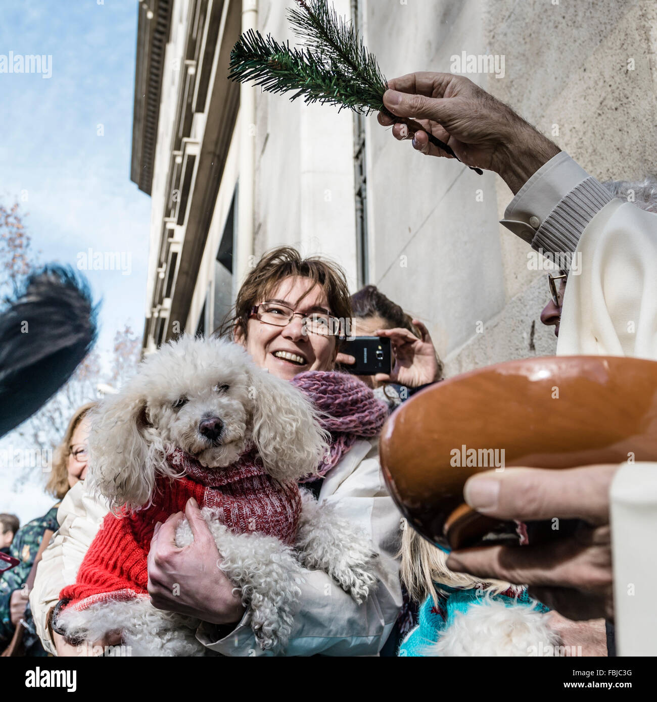 A dog takes part in the annual Blessing of the Animals event at Escola ...