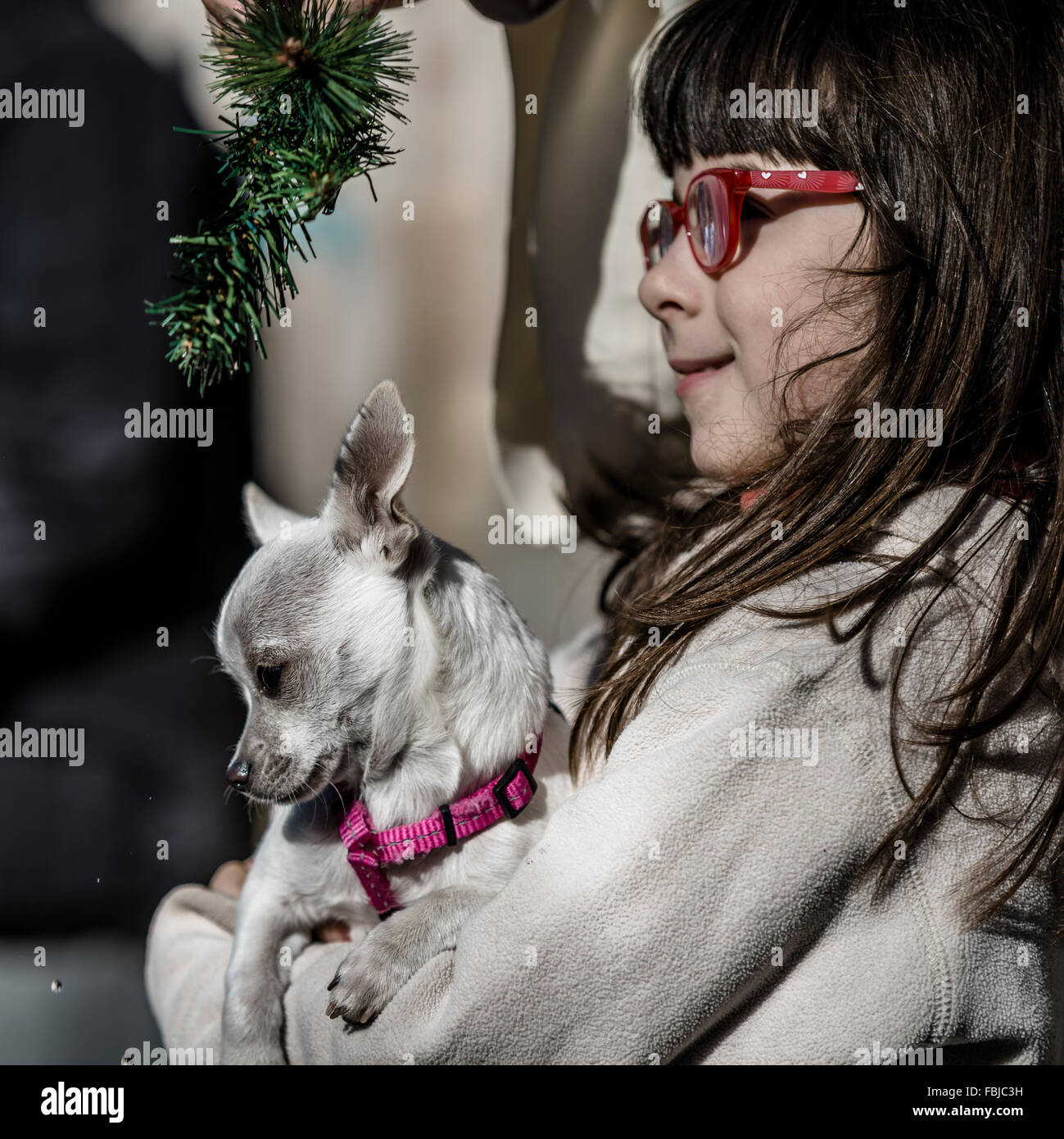 A dog takes part in the annual Blessing of the Animals event at Escola ...