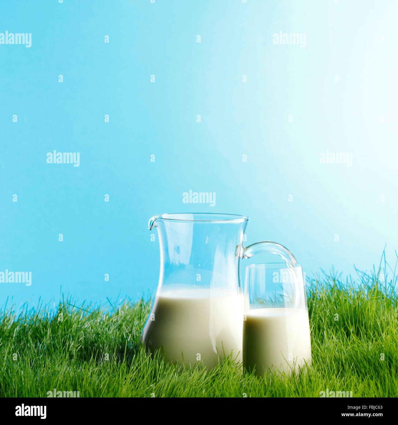 Milk jug and glass on fresh green grass field background Stock Photo ...