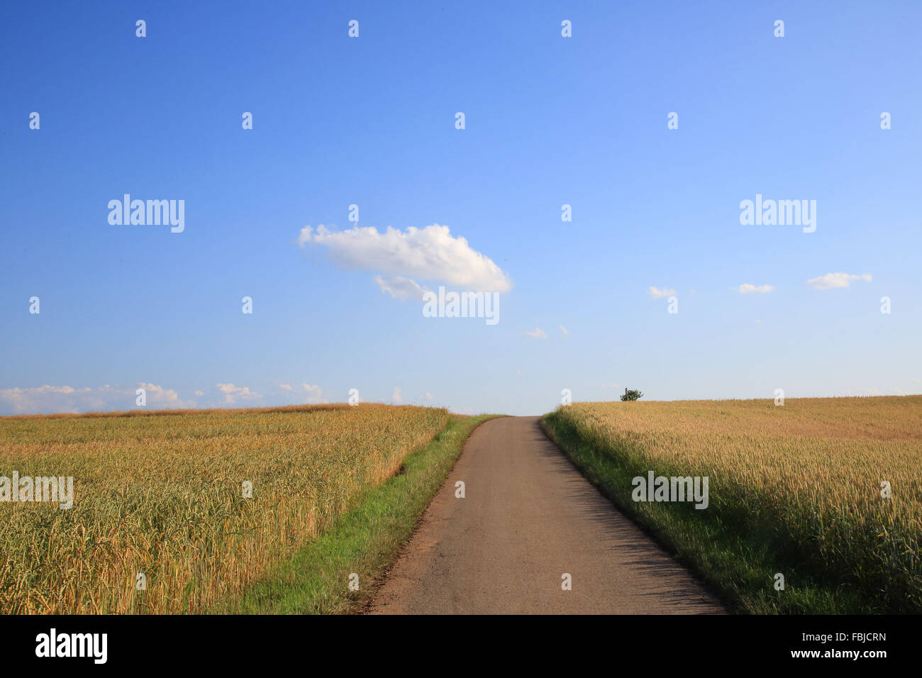 Field in the country hi-res stock photography and images - Alamy