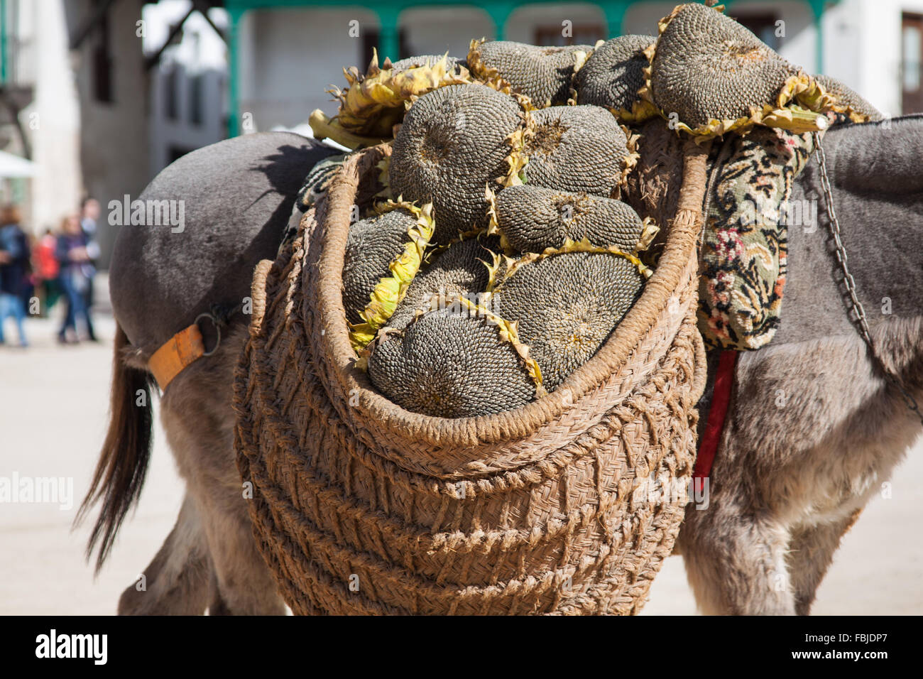 Donkey carrying mountain hi-res stock photography and images - Alamy