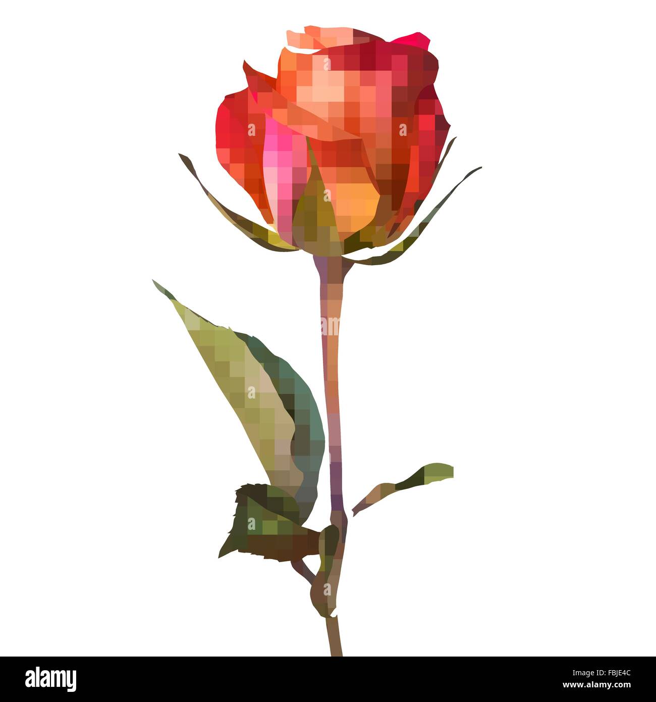 Orange red Rose. EPS 10 Stock Vector Image & Art - Alamy
