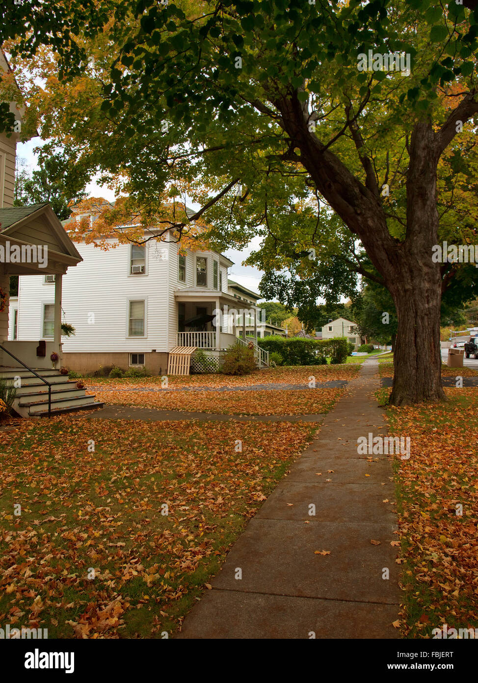 Autumn in the suburbs hi-res stock photography and images - Alamy