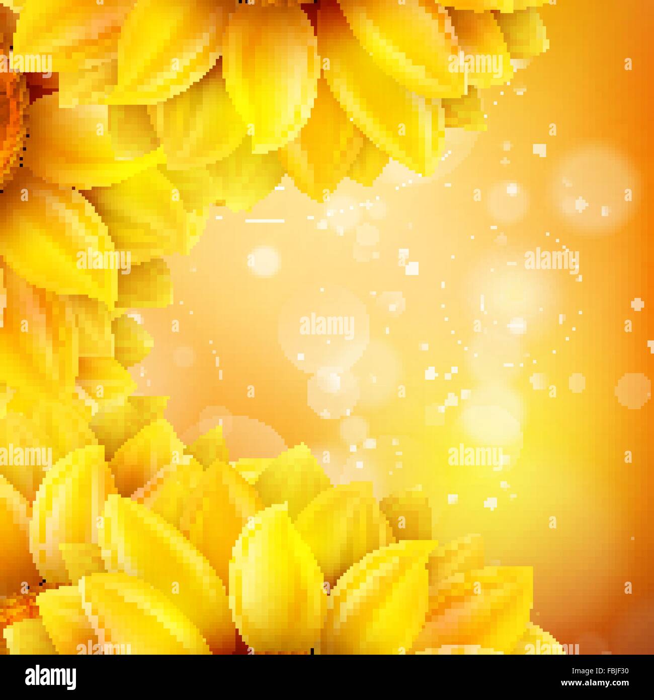 Macro SunFlower Background. EPS 10 Stock Vector Image & Art - Alamy Macro SunFlower Background. EPS 10 Stock Vector Image & Art - Alamy