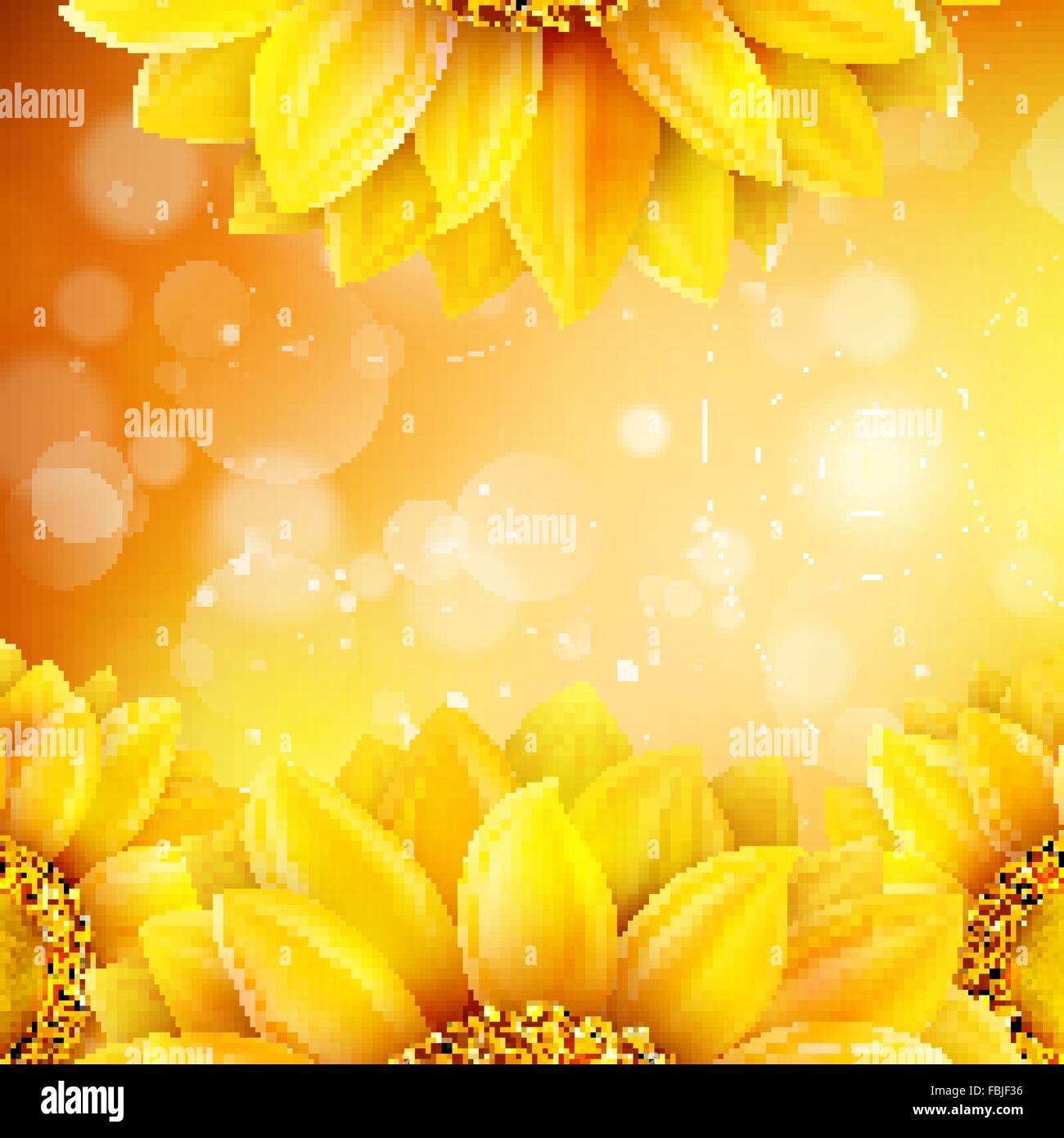 Macro SunFlower Background. EPS 10 Stock Vector Image & Art - Alamy Macro SunFlower Background. EPS 10 Stock Vector Image & Art - Alamy