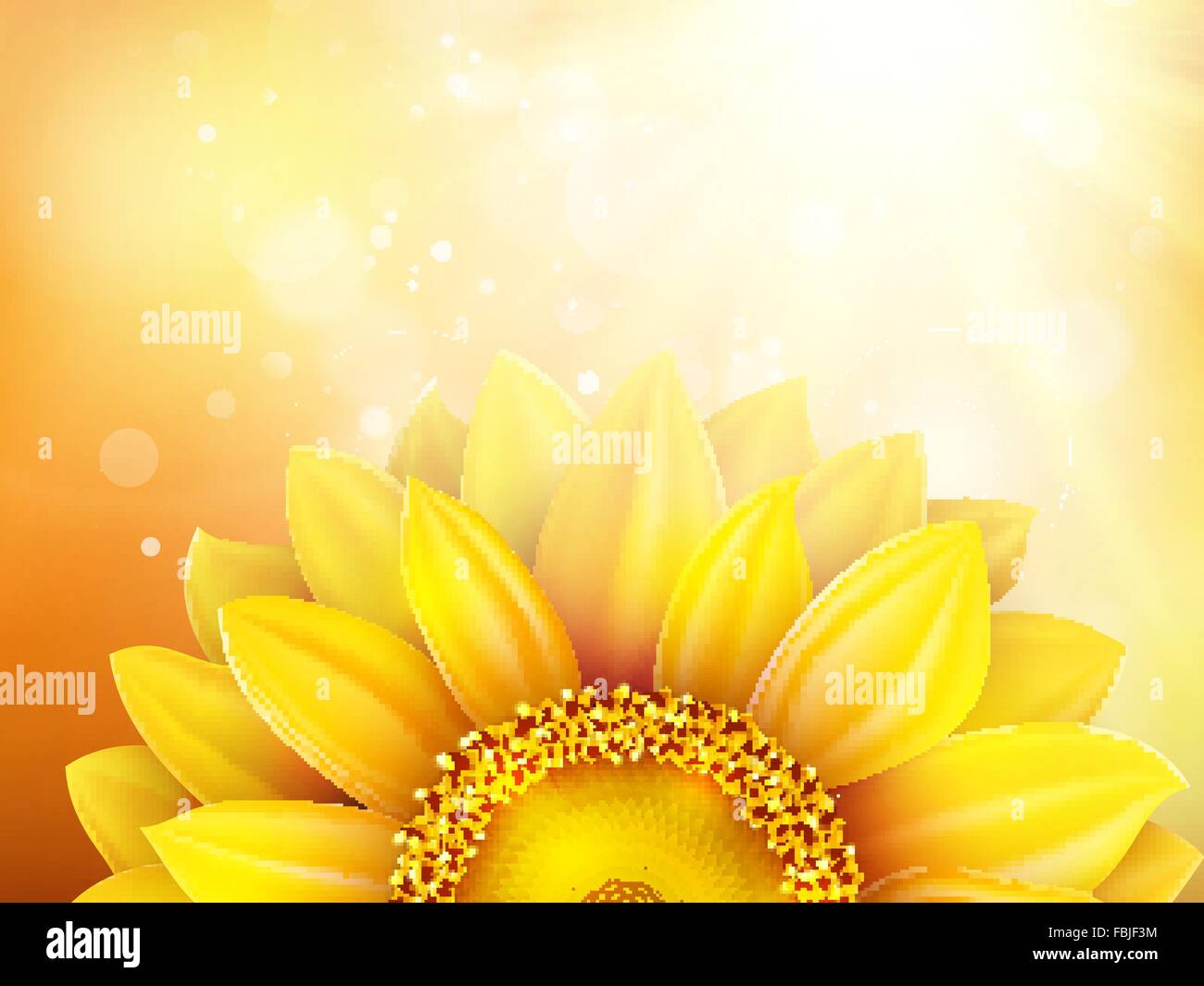 Macro SunFlower Background. EPS 10 Stock Vector Image & Art - Alamy